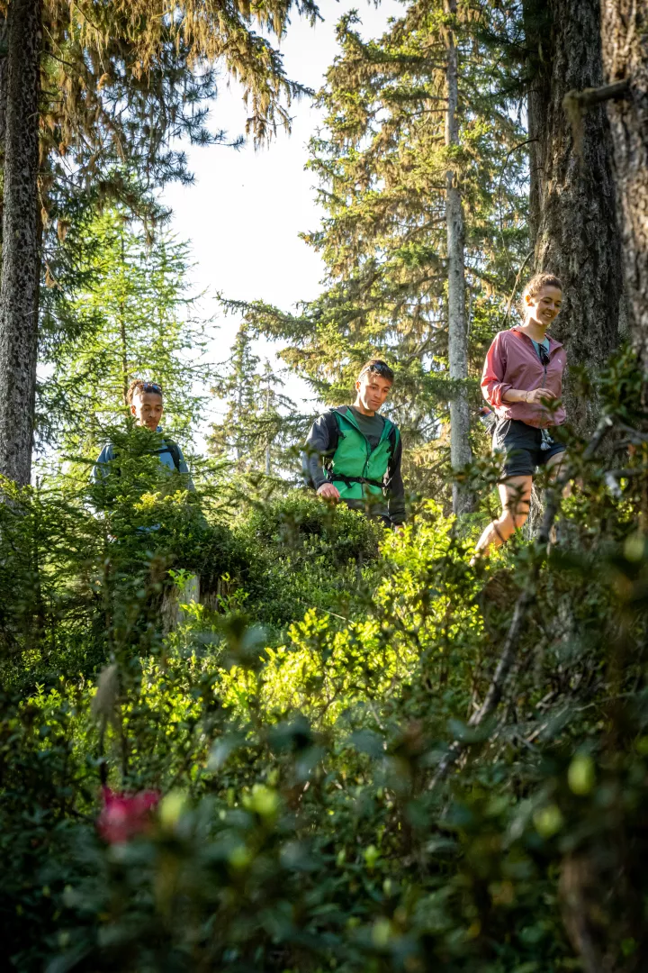 Wandern im Wald: 5 gute Praktiken, die Sie an Ihre Kinder weitergeben ...